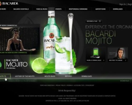 NeuCase - L'agence interactive de la Côte D'Azur // Pristina.org