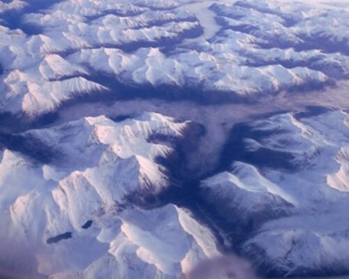 Debbie Carlos // Pristina.org