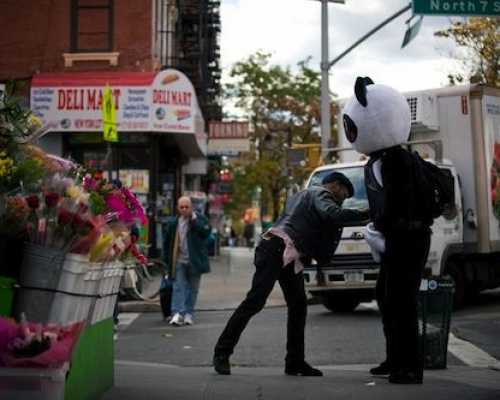 Punch Me Panda // Pristina.org