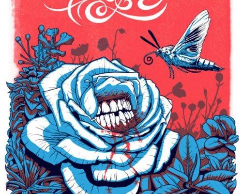 Jeff Proctor // Pristina.org