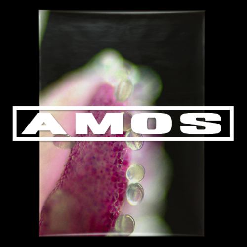 David Rudnick via @pristinaorg