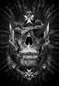 FACE OFF SKULL-A-DAY // Pristina.org