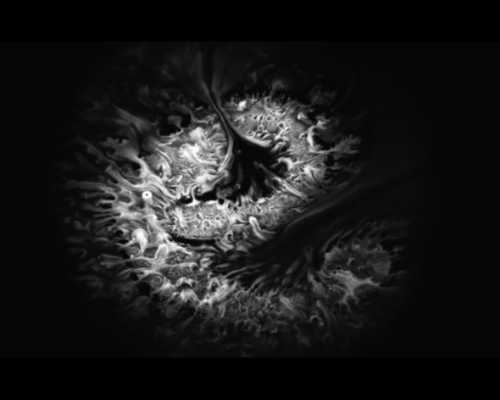 A Caligrafia Líquida de Rus Khasanov via @pristinaorg