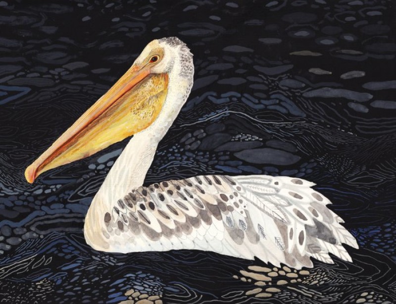 A Arte e as Ilustrações de Michelle Morin // Pristina.org