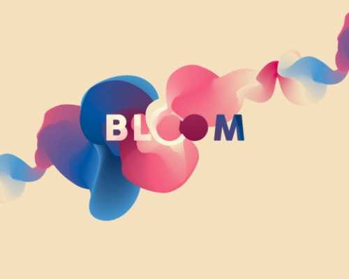 Bloom Identity // Pristina.org