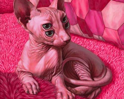 Casey Weldon // Pristina.org