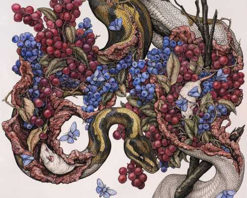 As ilustrações anatômicas da fenomenal Lauren Marx via @pristinaorg