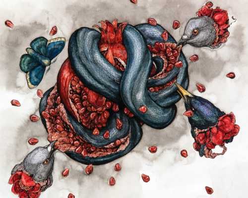 As ilustrações anatômicas da fenomenal Lauren Marx via @pristinaorg