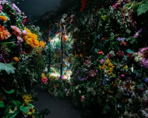 Party Store de Lisa Waud em Port Austin via @pristinaorg