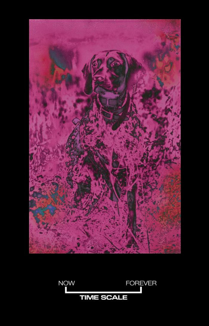 David Rudnick e seu Acid Graphics via @pristinaorg