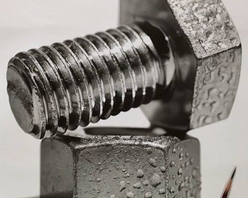 Kohei Omori: Quando o hiper-realista captura a beleza // Pristina.org